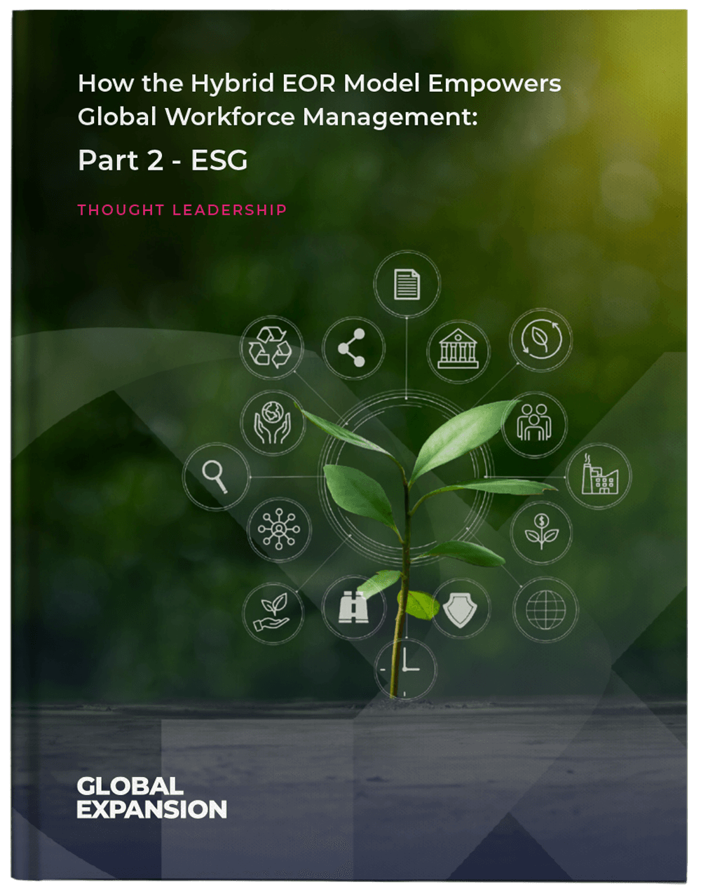 The Hybrid EOR Model's Role in Global Workforce Management